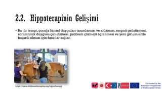 Hippotherapy module 1 TR | PPT