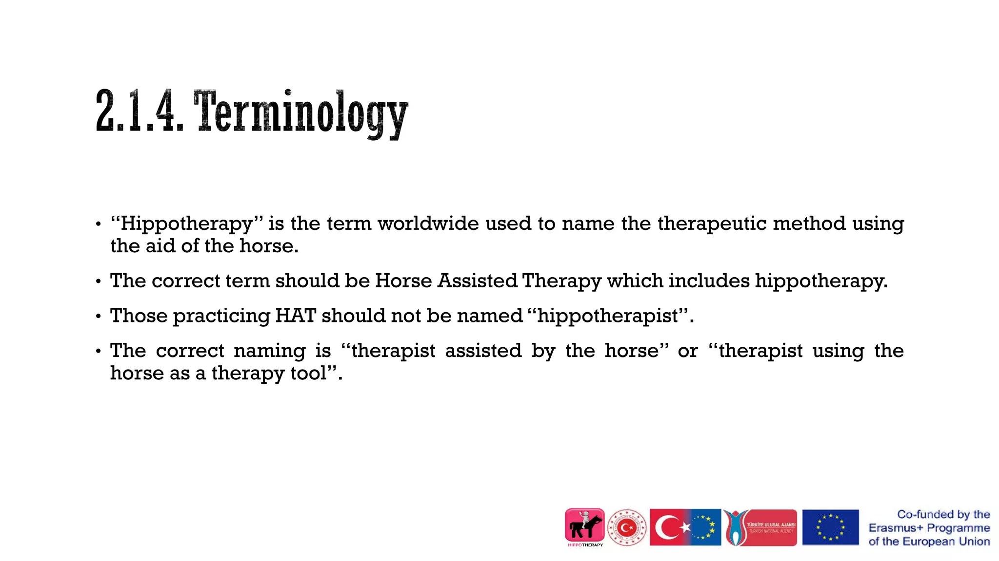 Hippotherapy module 2 EN | PDF