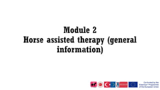 Hippotherapy module 2 EN | PDF
