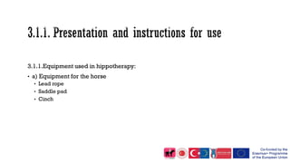 Hippotherapy module 3 EN | PDF