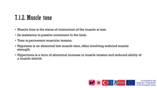 Hippotherapy module 7 EN | PDF