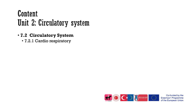 Hippotherapy module 7 EN | PDF