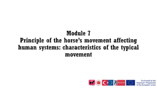 Hippotherapy module 7 EN | PDF