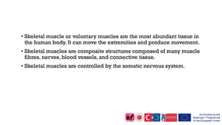 Hippotherapy module 7 EN | PDF