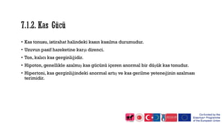 Hippotherapy module 7 TR | PPT