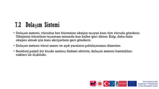 Hippotherapy module 7 TR | PPT