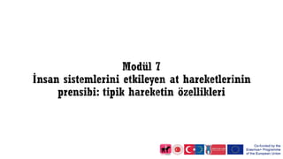 Hippotherapy module 7 TR | PPT