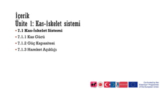 Hippotherapy module 7 TR | PPT