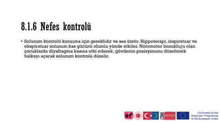 Hippotherapy module 8 TR | PPT