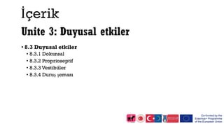 Hippotherapy module 8 TR | PPT