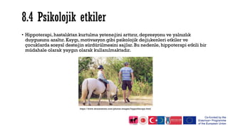 Hippotherapy module 8 TR | PPT