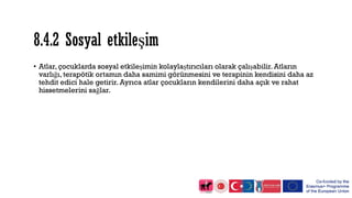 Hippotherapy module 8 TR | PPT