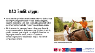 Hippotherapy module 8 TR | PPT