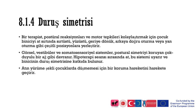 Hippotherapy module 8 TR | PPT