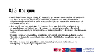 Hippotherapy module 8 TR | PPT