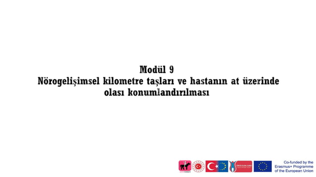 Hippotherapy module 9 TR | PDF