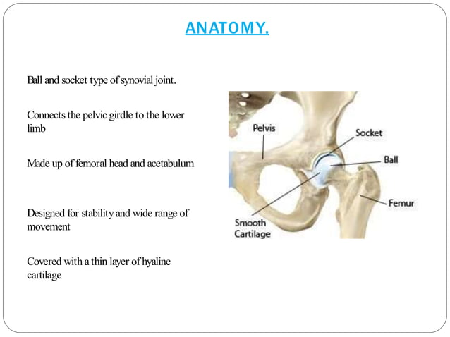 Hip examination | PPTX