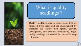 Advacnes for raising quality seedlings in vegetable crops by Hiral ...