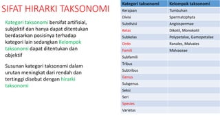 HIRARKI TAKSONOMI.pptx