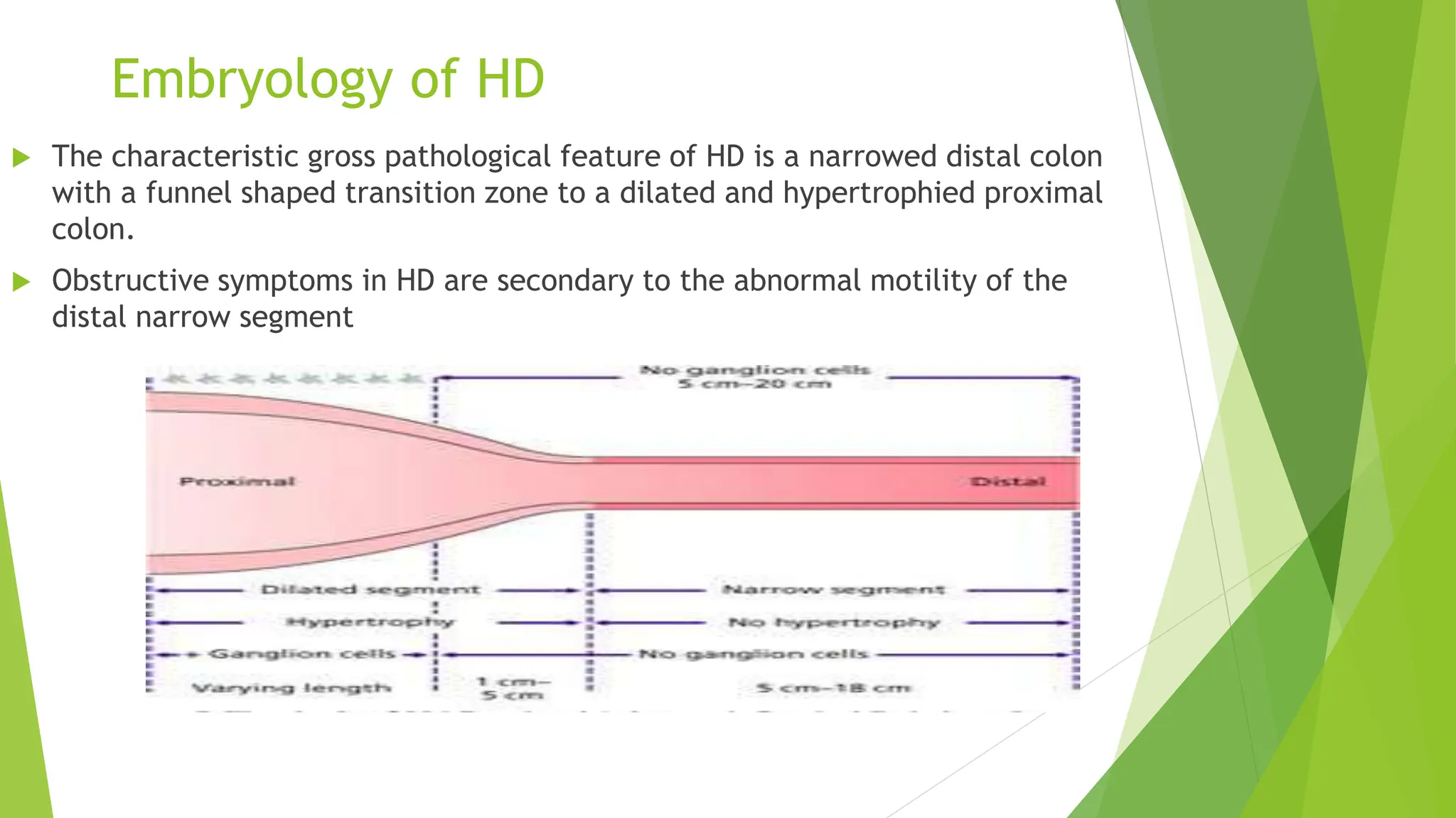 Hirchsprung disease is a congenital disease | PPTX