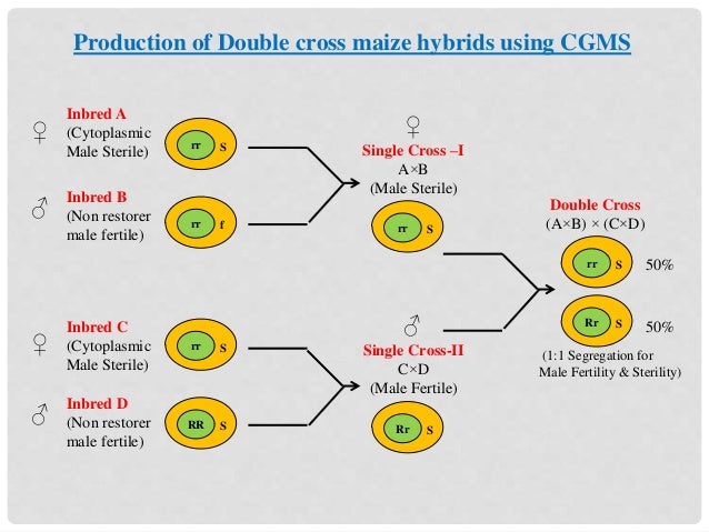 Male sterility, types and utilization in hybrid seed production