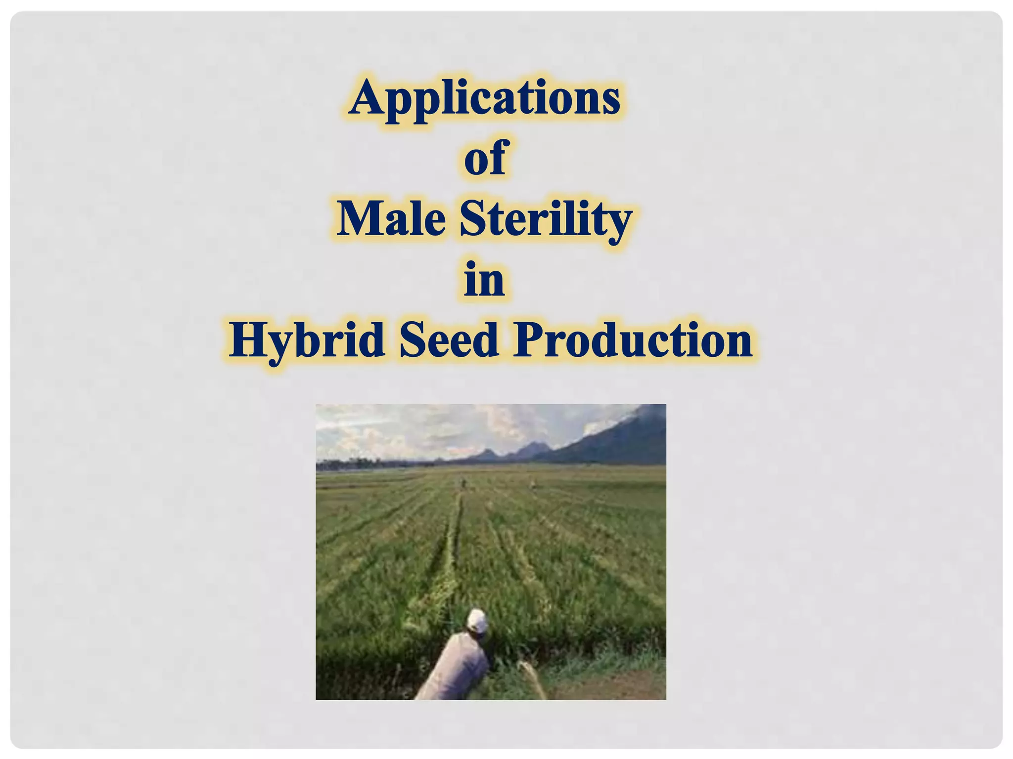 Male sterility, types and utilization in hybrid seed production | PPTX