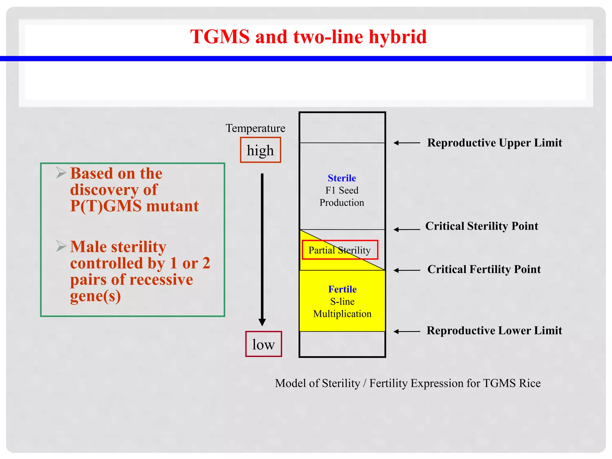 Male sterility, types and utilization in hybrid seed production | PPTX