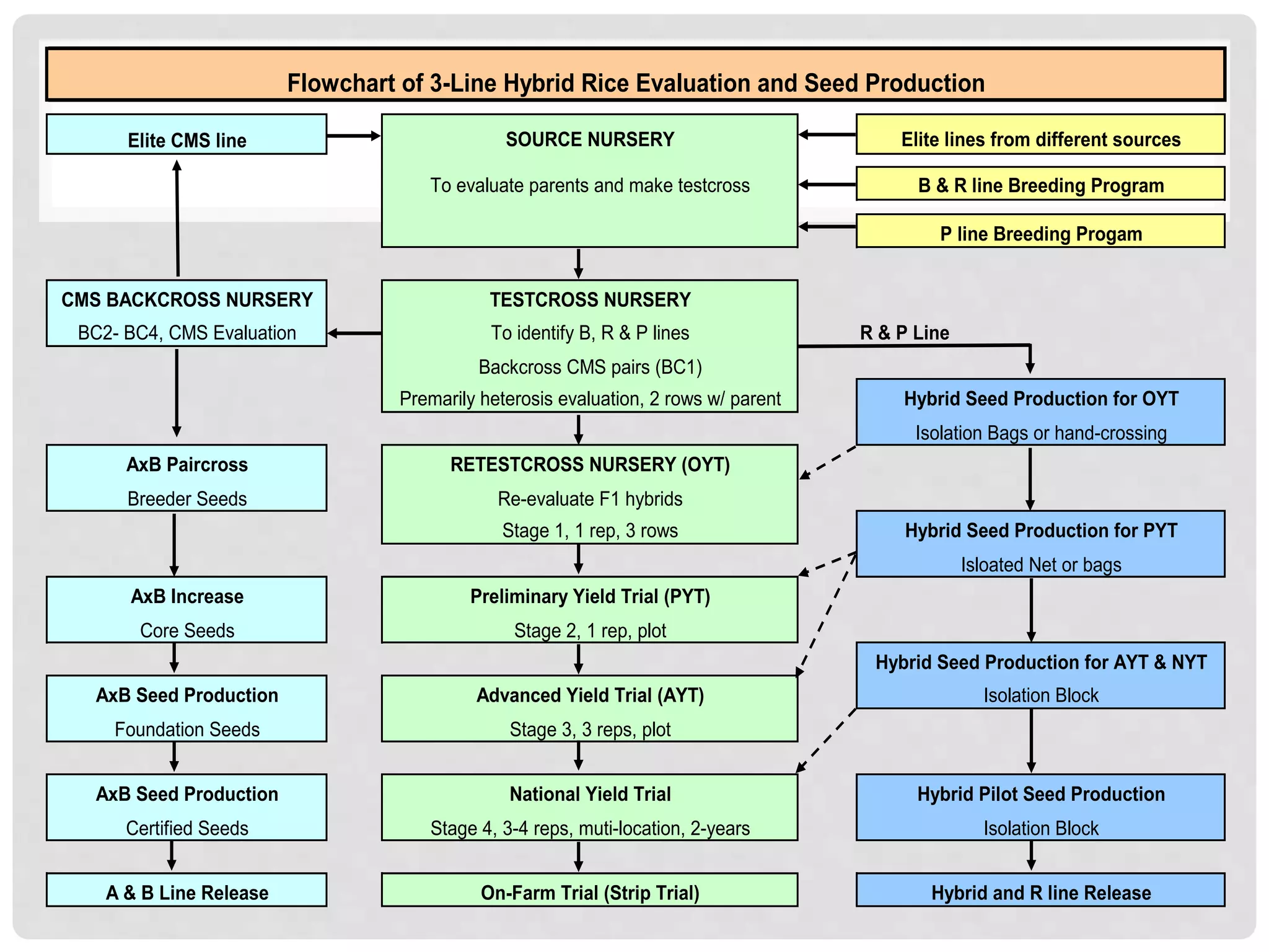 Male sterility, types and utilization in hybrid seed production | PPTX