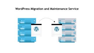 Hire the Best WordPress Developers From HKInfoway Technologies.pptx