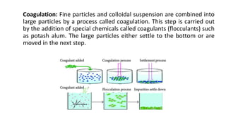Water Pollution | PPTX