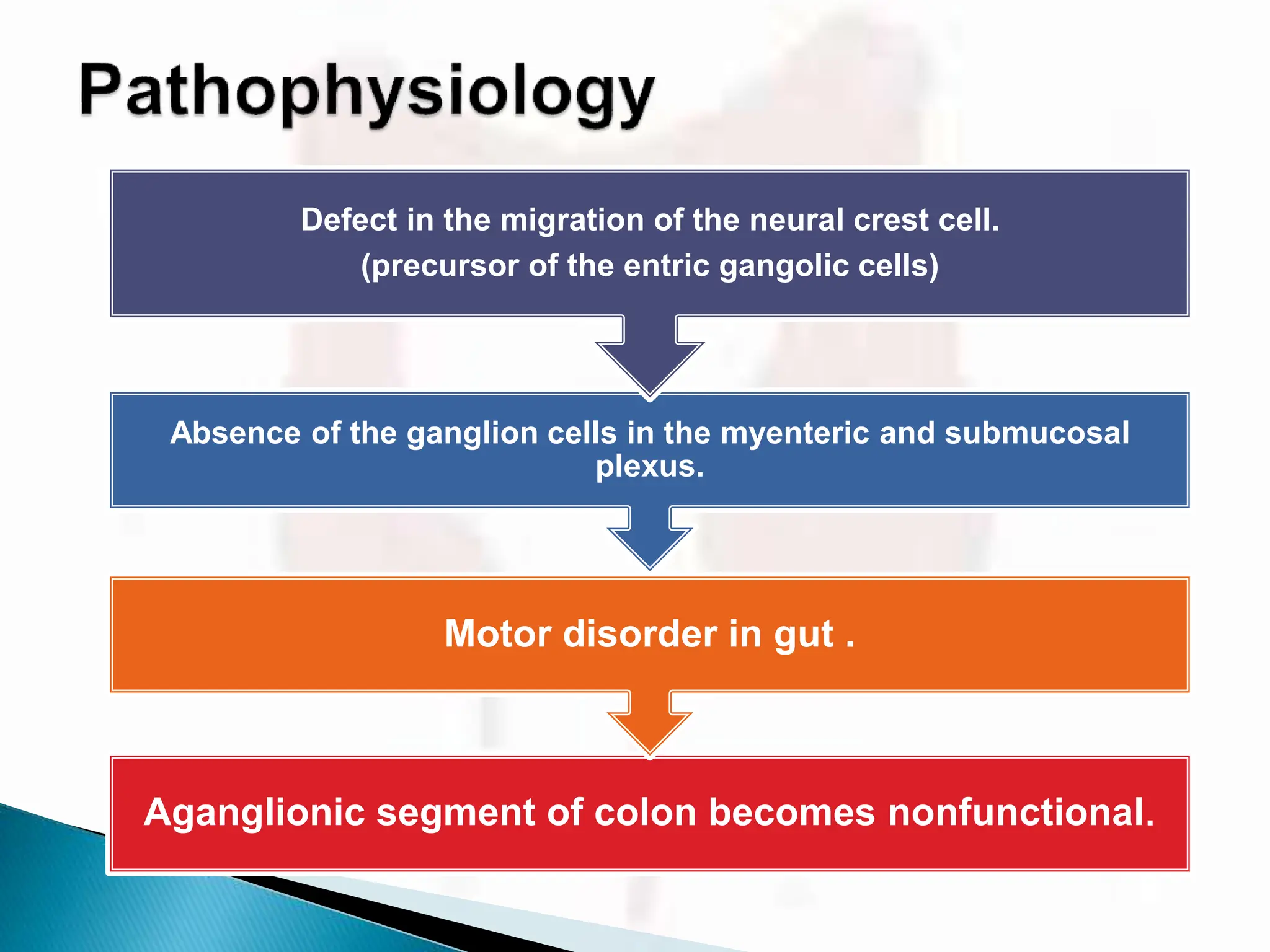 Hirschprung's Disease (HD) Lecture.pptx
