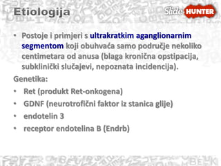 Hirschsprungova bolest | PPT