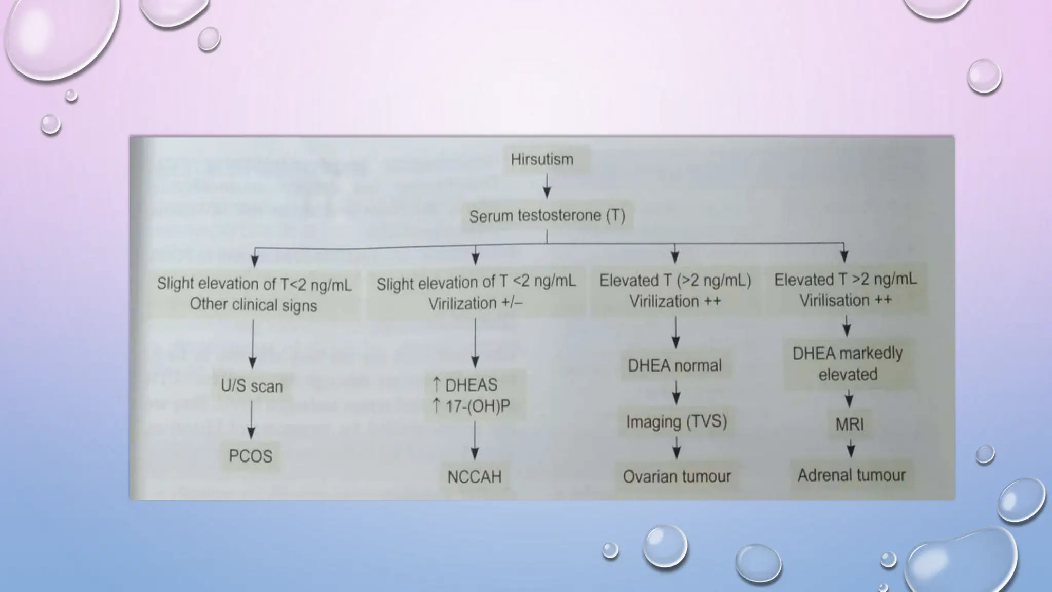 hirsuitism obstetrics presentation ug.pptx