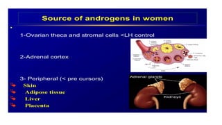 Hirsutism and virilism /. pdf | PDF