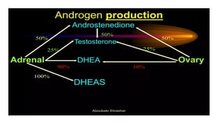 Hirsutism and virilism2. pdf | PDF