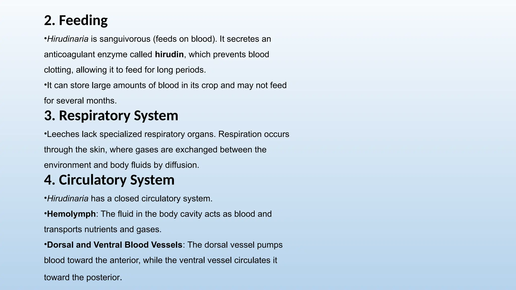Hirudinaria - ppt -indian cattle leech,, | PPTX