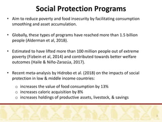 The Impact of Large-scale social protection interventions on grain ...