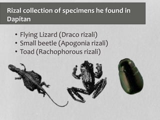 His entrapment his exile and love with Josephine Bracken | PPT