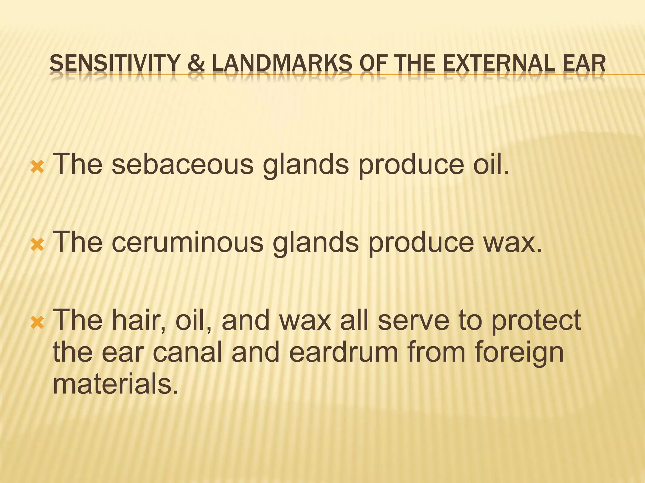 His 125 auditory sensitivity and landmarks of the external ear | PPT