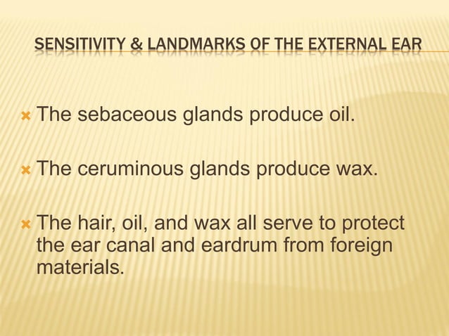 His 125 auditory sensitivity and landmarks of the external ear | PPT