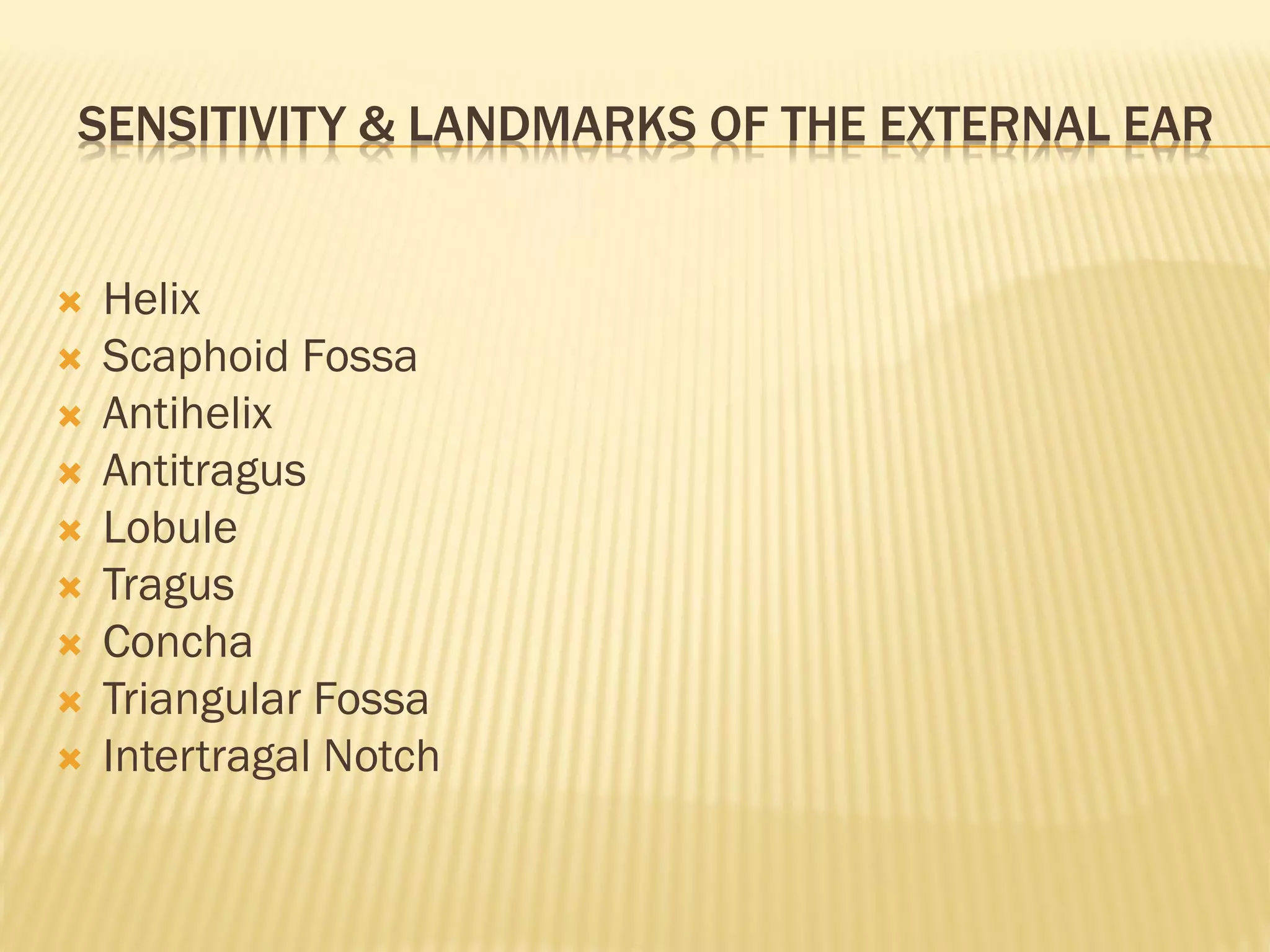 HIS 125 Auditory Sensitivity and Landmarks of the External Ear | PPT