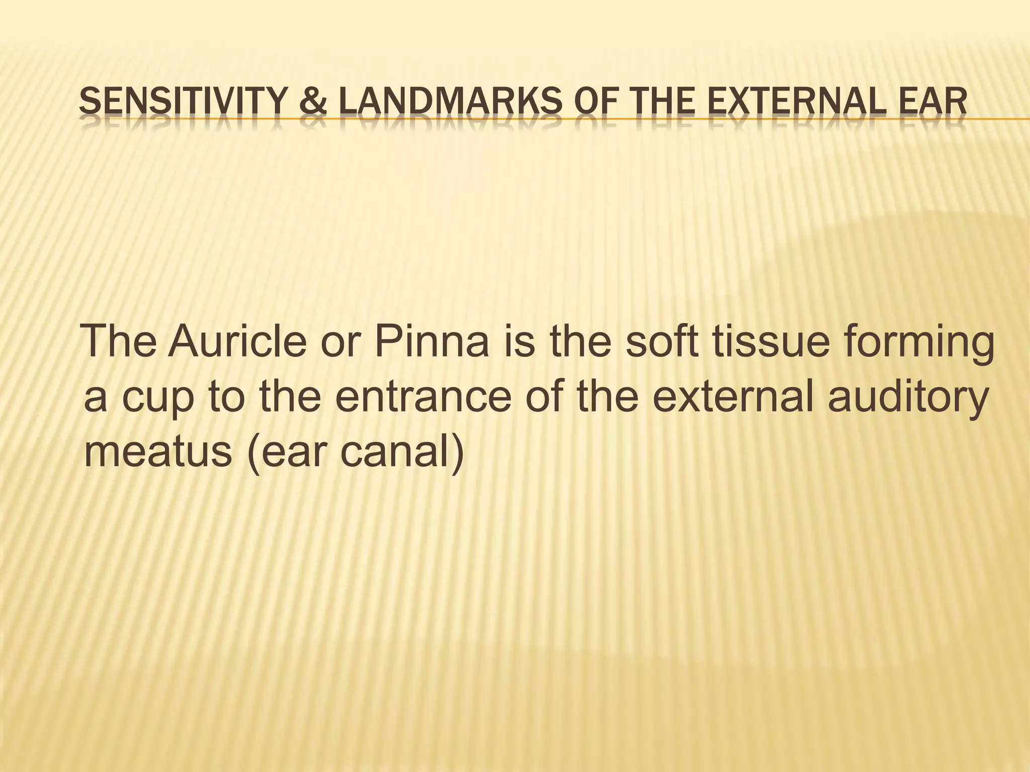 HIS 125 Auditory Sensitivity and Landmarks of the External Ear | PPT