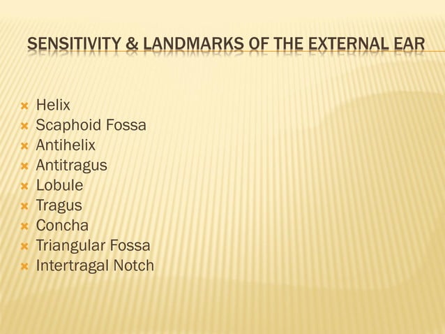 HIS 125 Auditory Sensitivity and Landmarks of the External Ear | PPT