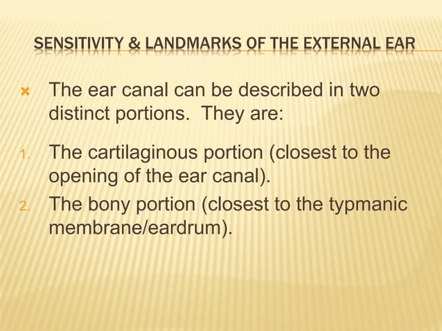 HIS 125 Auditory Sensitivity and Landmarks of the External Ear | PPT