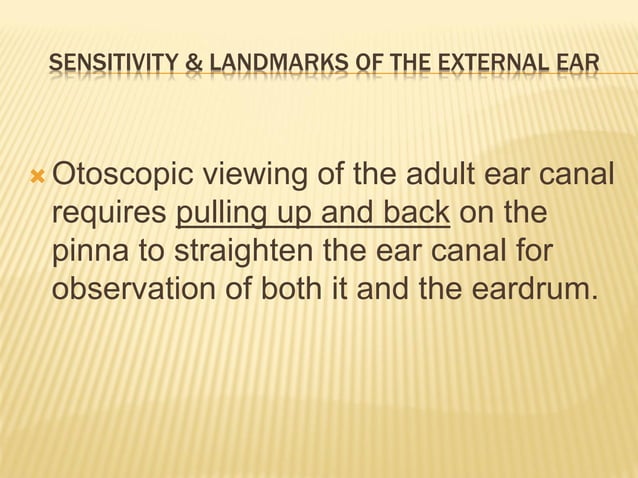 HIS 125 Auditory Sensitivity and Landmarks of the External Ear | PPT