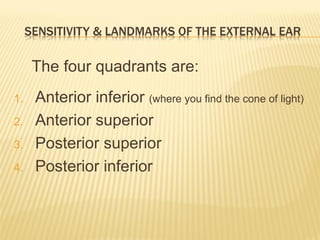 HIS 125 Auditory Sensitivity and Landmarks of the External Ear | PDF