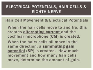 HIS 125 Electrical Potentials, Hair Cells, and the Eighth Nerve | PPT