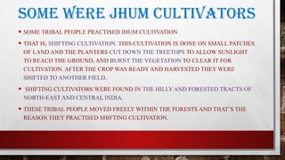 Tribals, Dikus and the vision of a golden age | PPTX