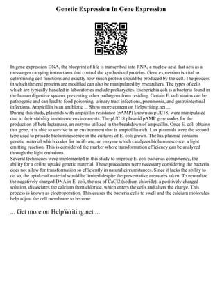 Hiset Essay Prompts For The Odyssey | PDF