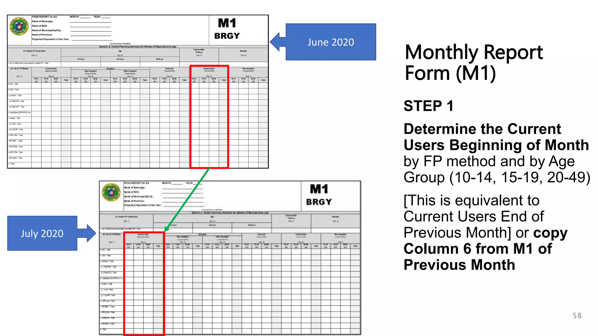 HIS, FHSIS process & forms, DQC process and Tools - Copy.pptx
